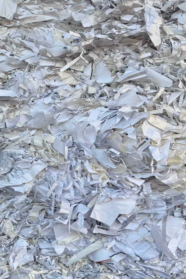 Paper Bale - Art on Paper | September 4–7, 2025 | New York City